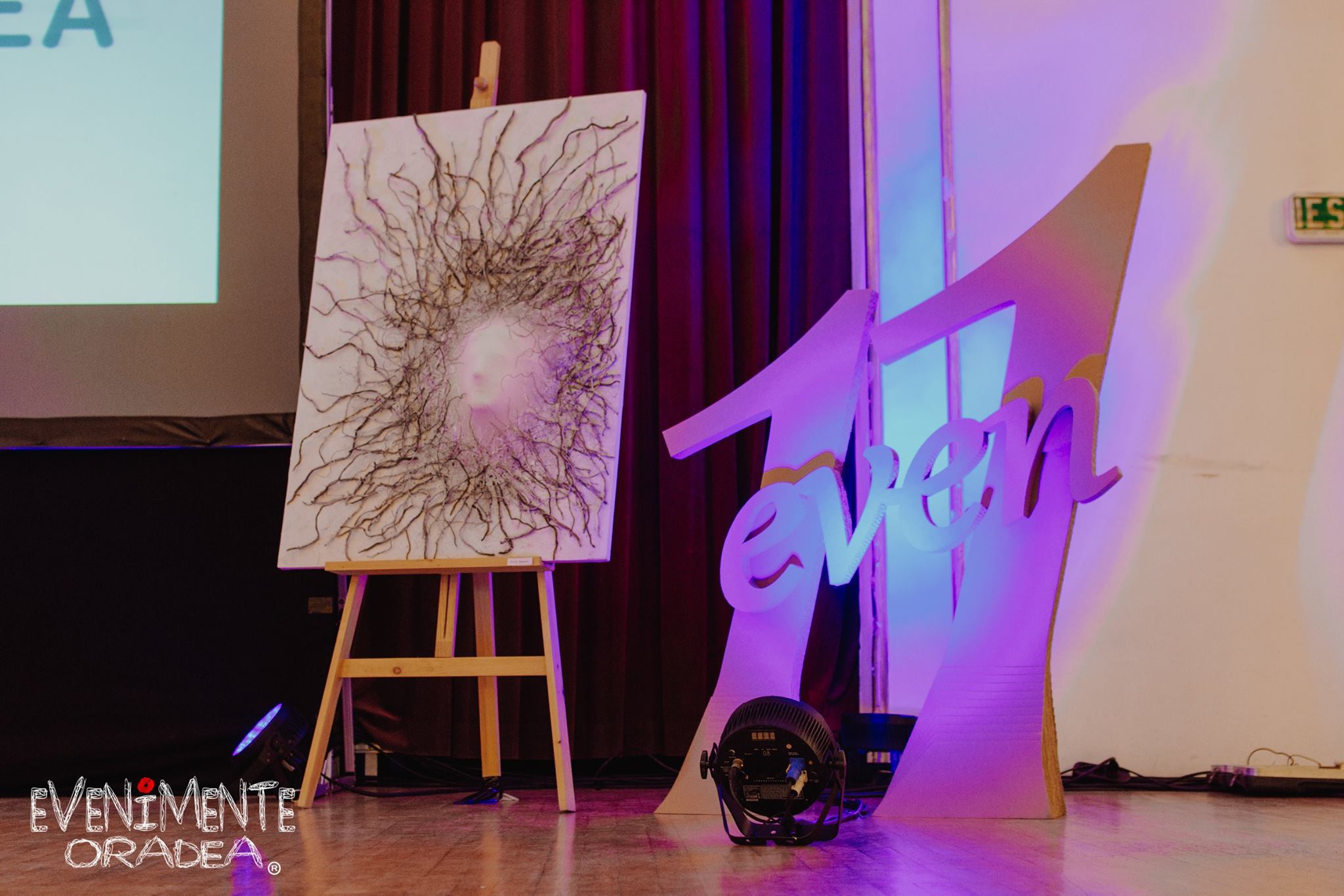 11even Experiences și al 12-lea speaker | TEXTE, FAZE SI POVESTI